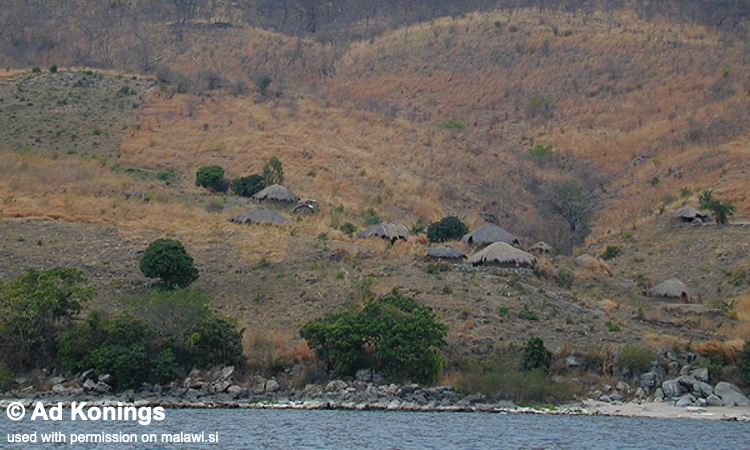 Chilumba, Lake Malawi, Malawi
