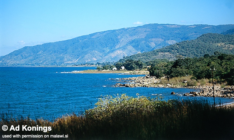 Chiweta, Lake Malawi, Malawi