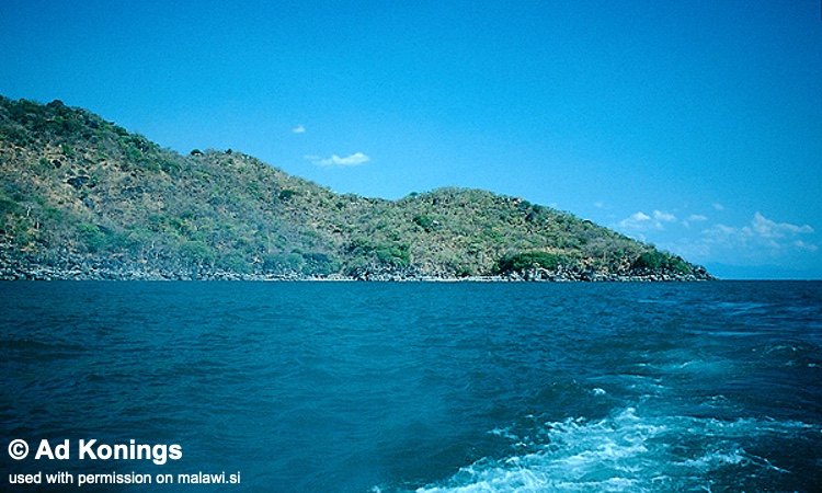 Chuwa, Lake Malawi, Tanzania