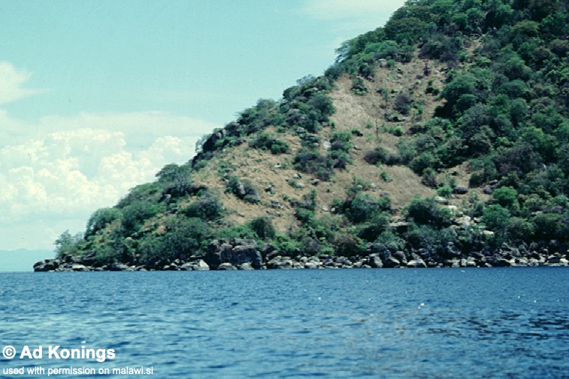 Domwe Island, Lake Malawi, Malawi
