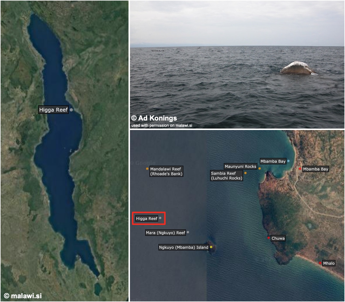 Higga Reef, Lake Malawi, Tanzania