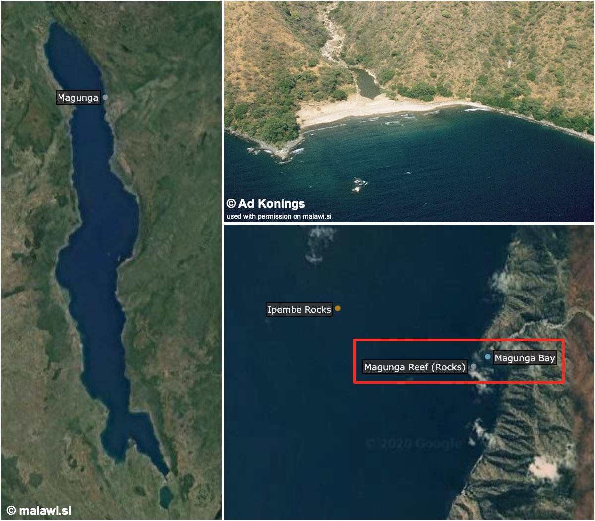 Magunga, Lake Malawi, Tanzania