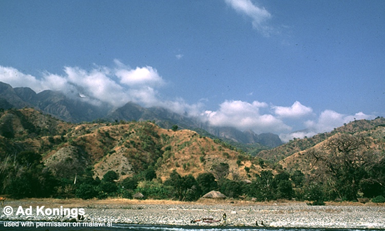 Msisi, Lake Malawi, Tanzania