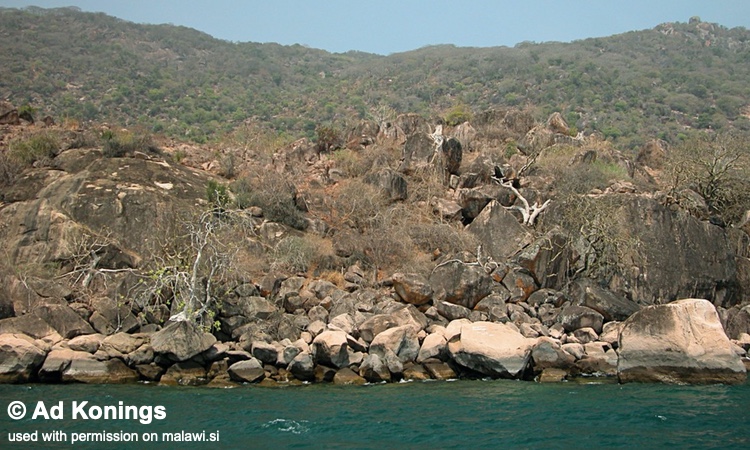 Mvunguti, Lake Malawi, Malawi