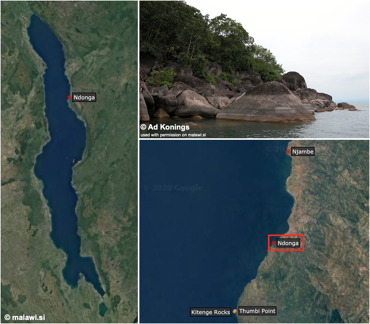 Ndonga, Lake Malawi, Tanzania