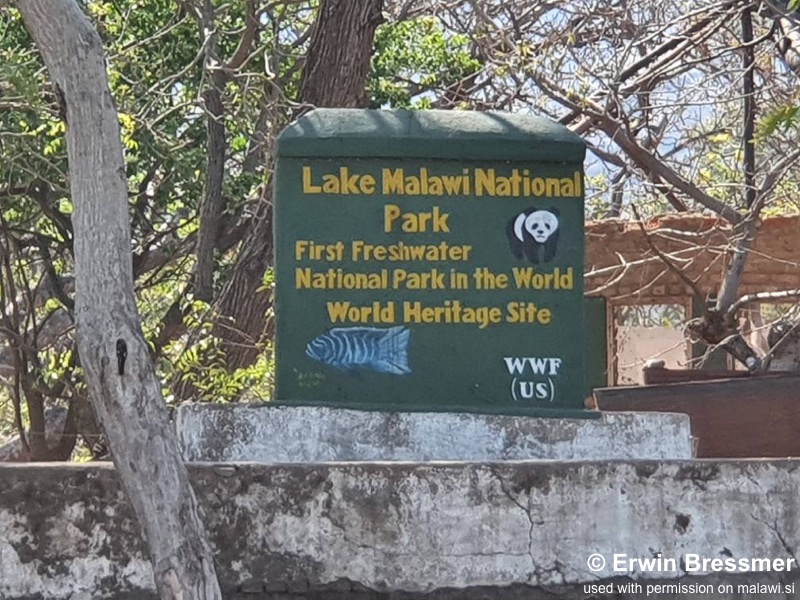 Otter Point, Lake Malawi, Malawi